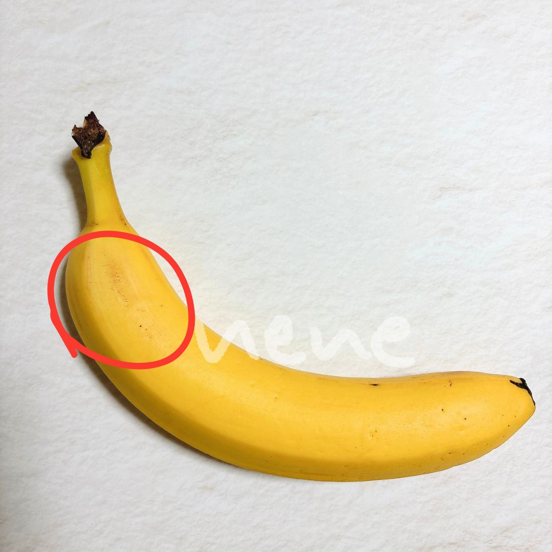 【比較】コスモス限定の日焼け止め『INTELLIGE(アンテリージェ)EX』が資生堂アネッサと同レベル？【VS金のアネッサ】 - nene(ネネ)