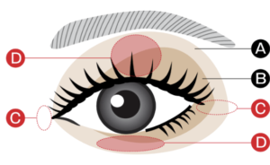 KATE新作ポッピングシルエットシャドウ限定色を全色レビュー。控えめなのにナゼ盛れる？！ - nene(ネネ)